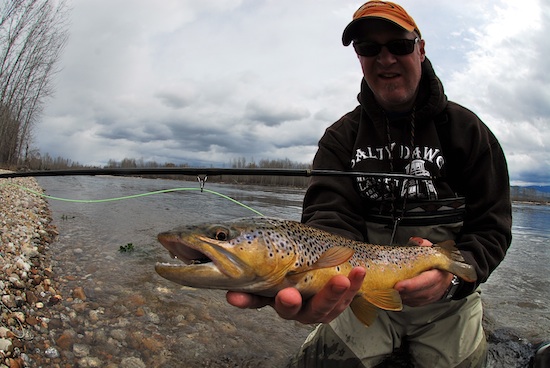 Skwala Stonefly Hatch | Angler's Tonic