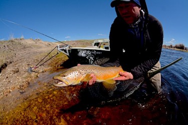 Kelly Galloup's Favorite Streamers | Angler's Tonic